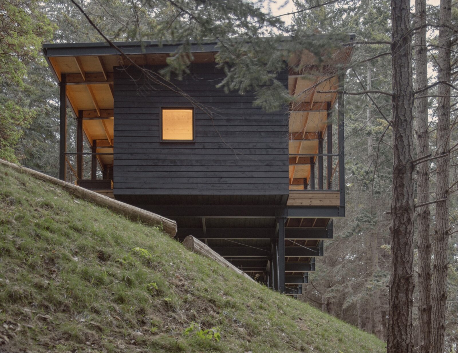 Miller Hull — This Elevated Cabin in Washington’s Decatur Island is ...