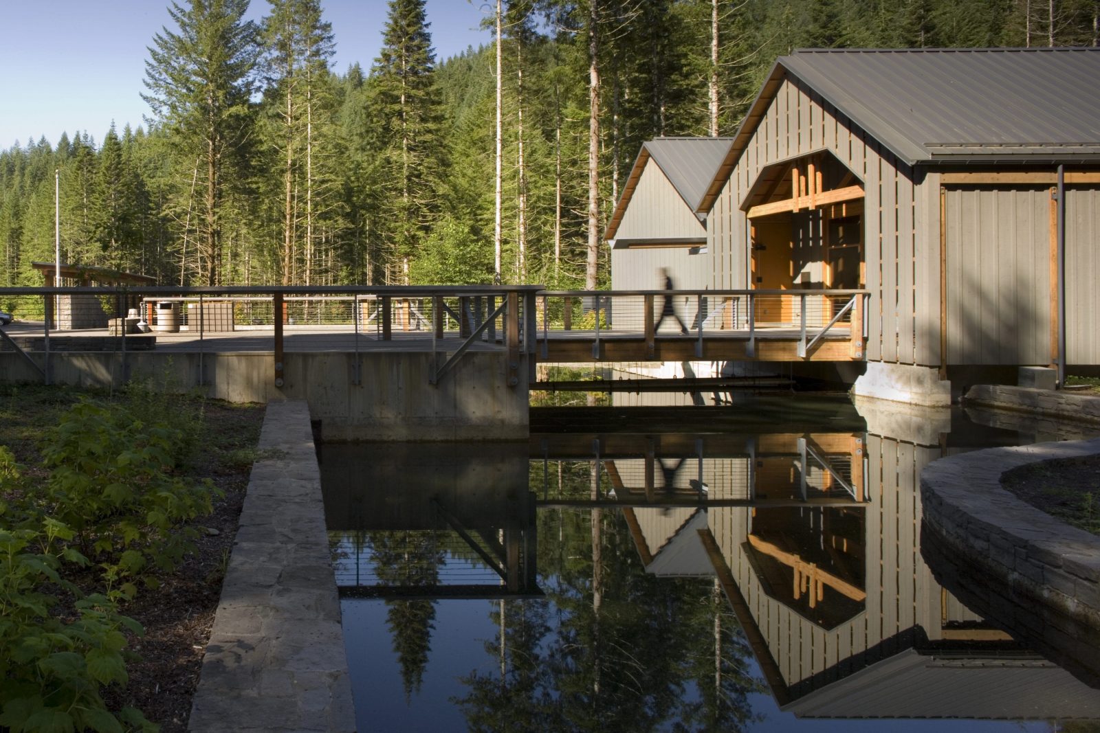 Miller Hull — Tillamook Forest Interpretive Center