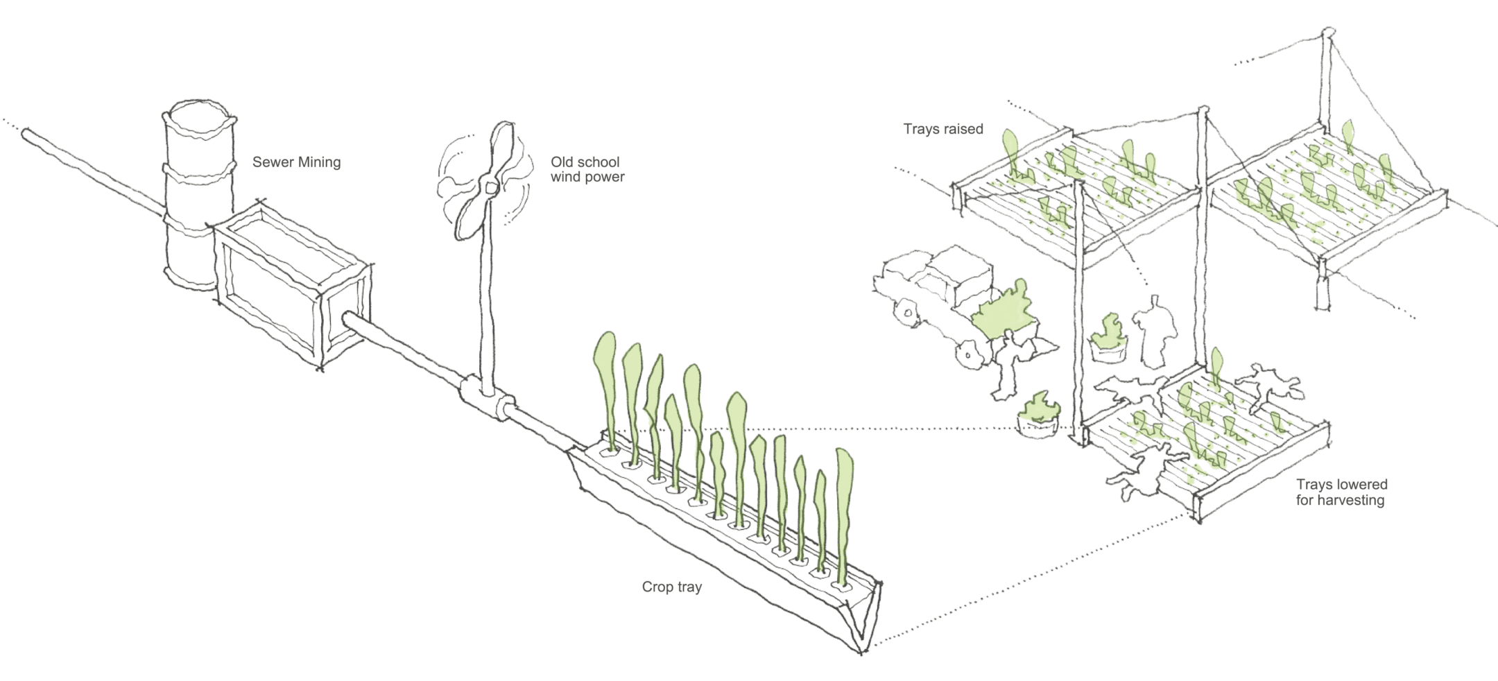 Miller Hull — Bumper Crop